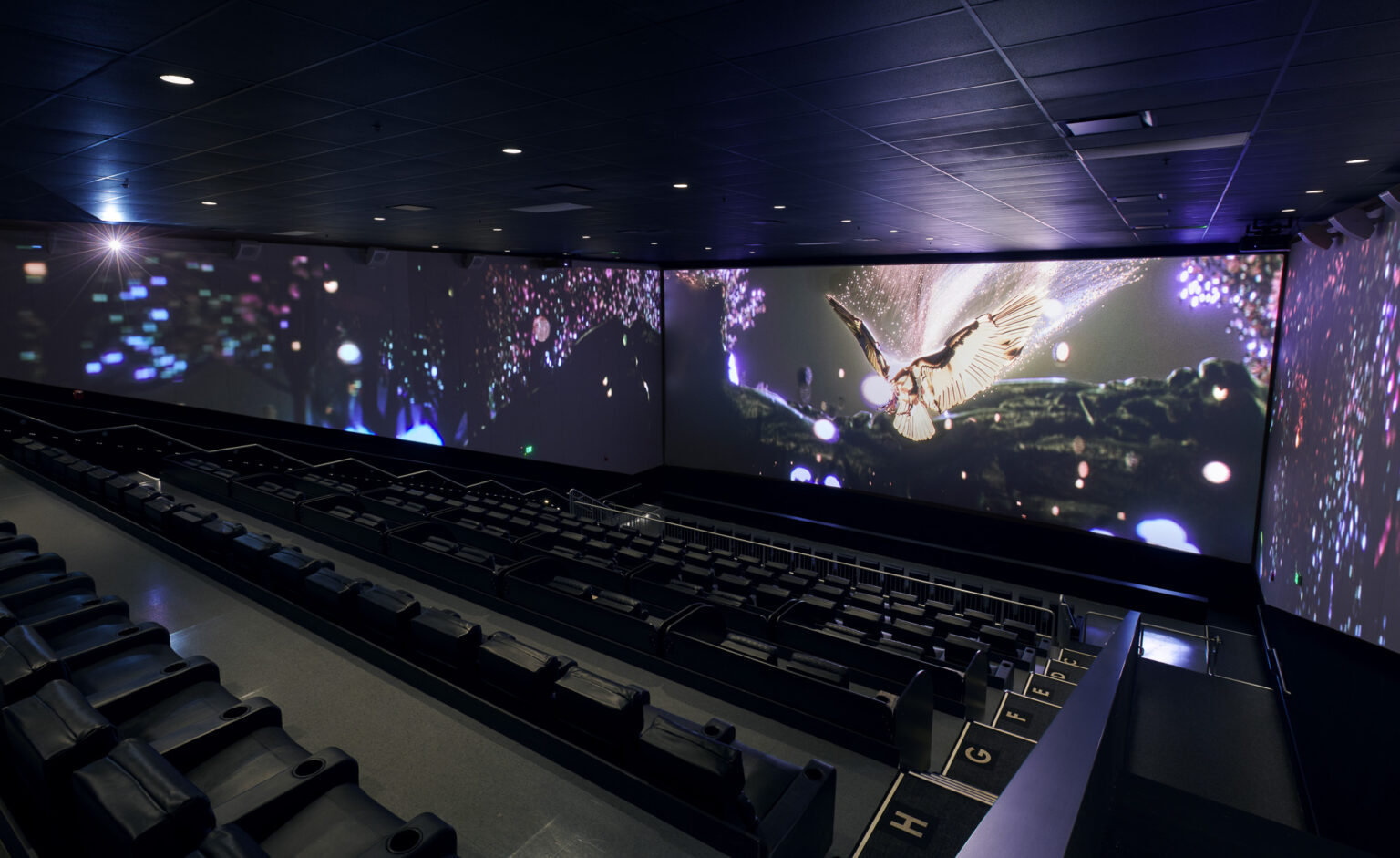 Premium Cinema Exhibition | Entertainment Supply & Technologies